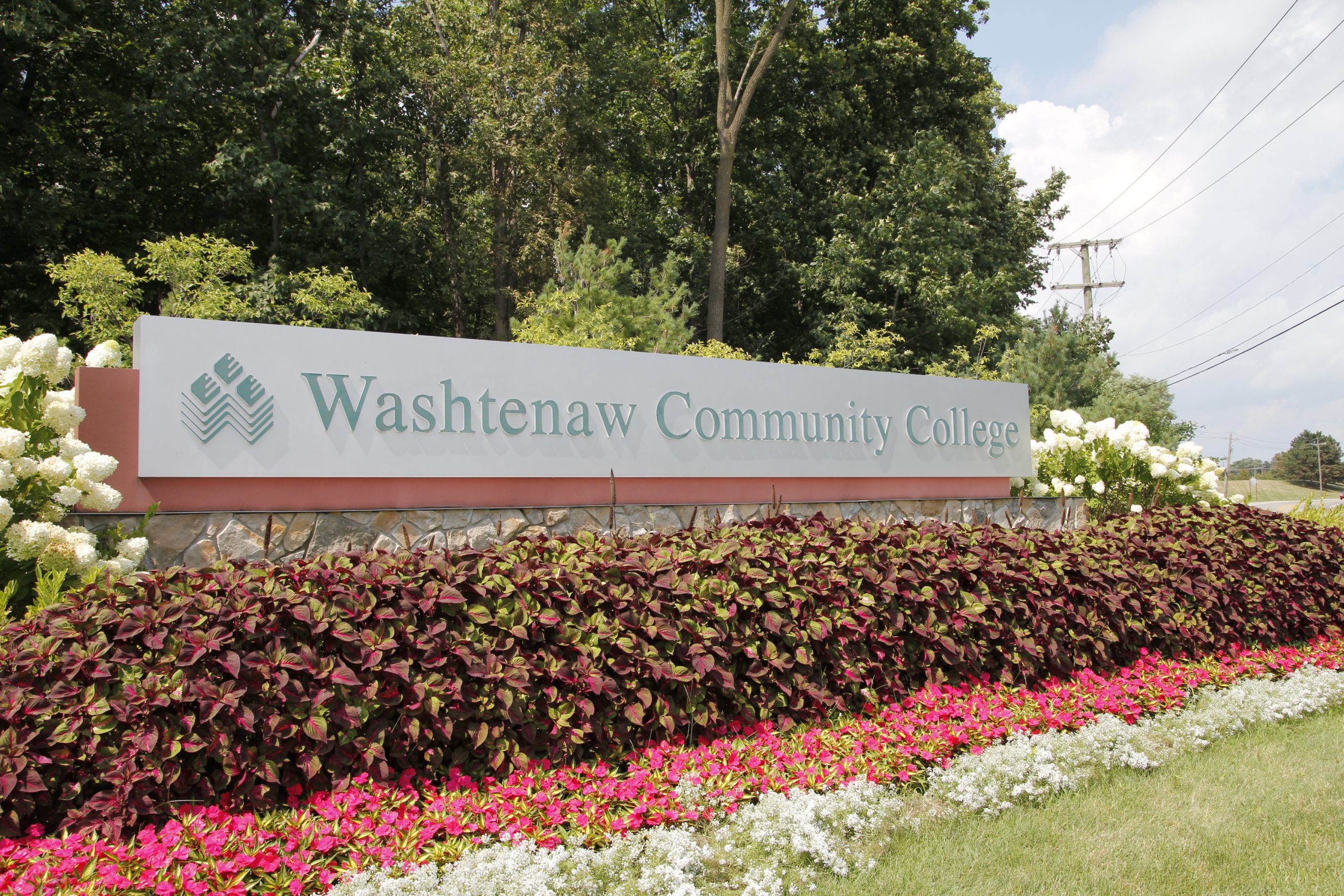 WCC enrollment growth connected to distance learning - The Washtenaw Voice